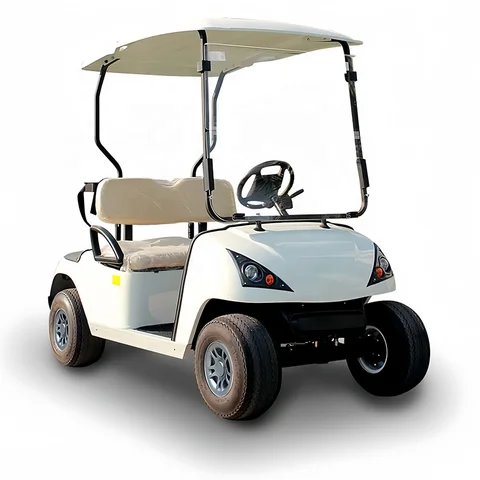 Buy High Quality Electric Golf Cart Street Legal 2 Seater Luxury ...
