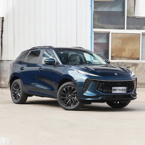 Buy In Stock Chinese Fuel Car Hot Selling And Good Quality Fengxing T5 ...