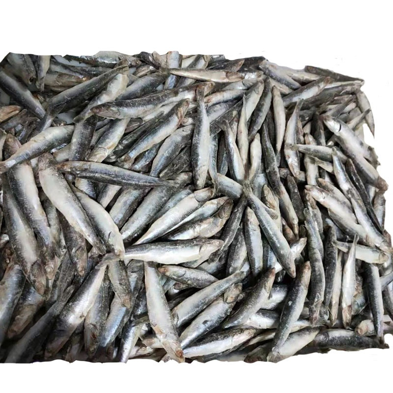 Buy Iqf Anchovy Fish Factory Manufactures Anchovy For Bait from ...