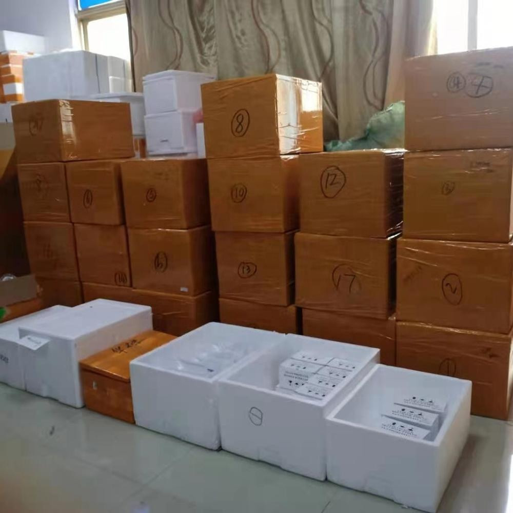 Buy Mobile Phone Lcd Display Source Factory All Brands Parts Screen ...