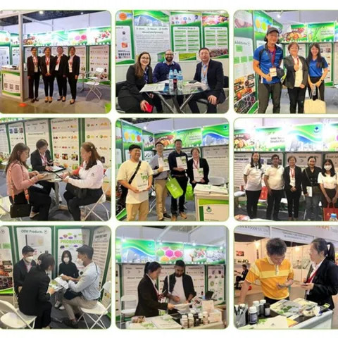 Buy Oem Probiotic Digestive Enzyme Gummy Health Care Supplement ...