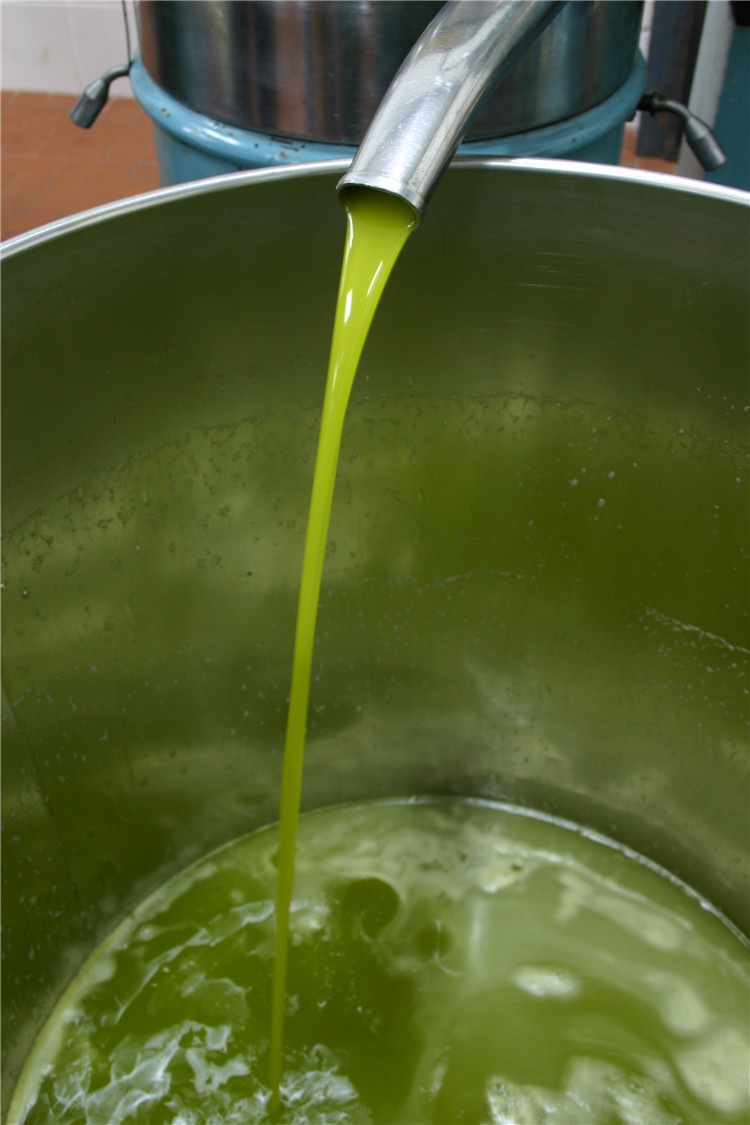 Buy Organic Evoo Extra Virgin Cooking Olive Oil Cooking Vegetable Oil ...